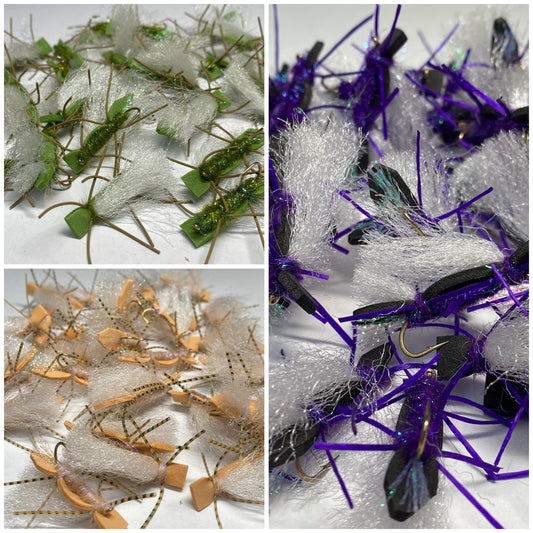 Dries – bulletproofbugs